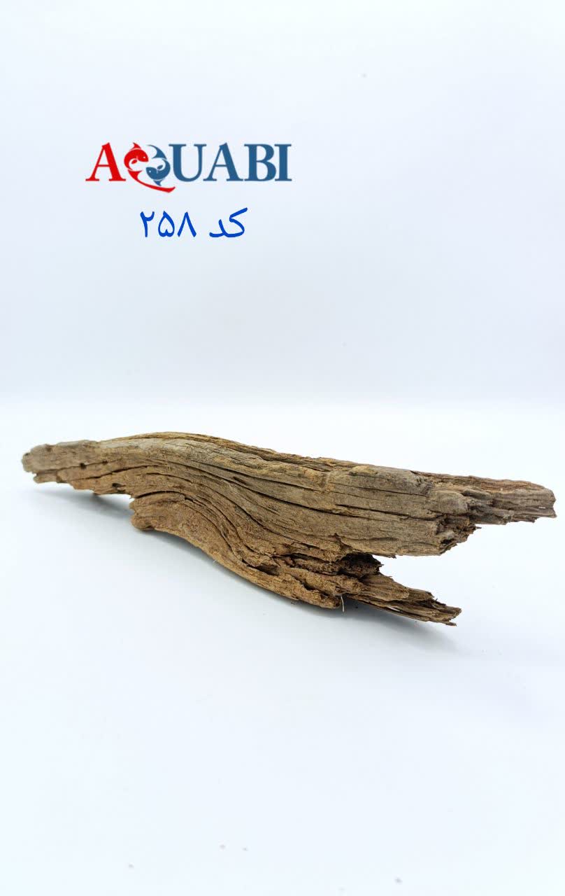 تنه چوب آبنوس آکواریوم AB-258 دریفت وود 🐠 قیمت و خرید آبنوس
